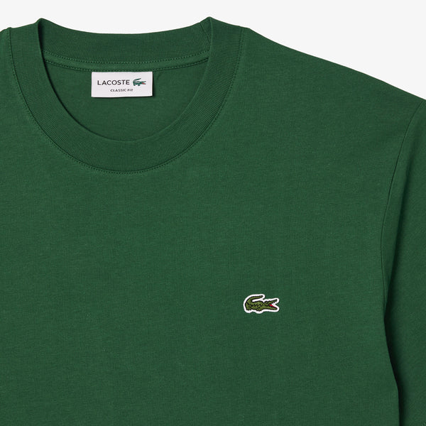 Lacoste - Cotton T-Shirt in Pine Green | Nigel Clare